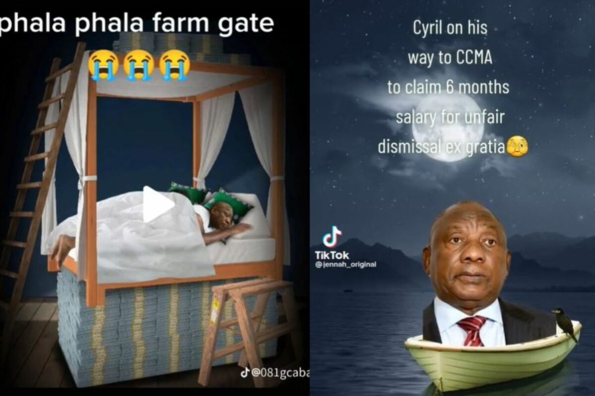 Ramaphosa impeachment? Bring on the memes