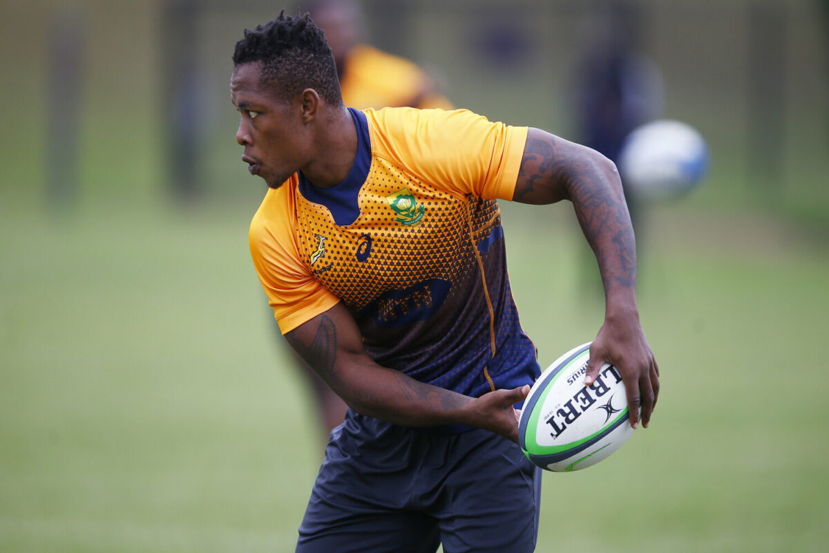 Update: Bulls continue search for missing Bok wing Sbu Nkosi