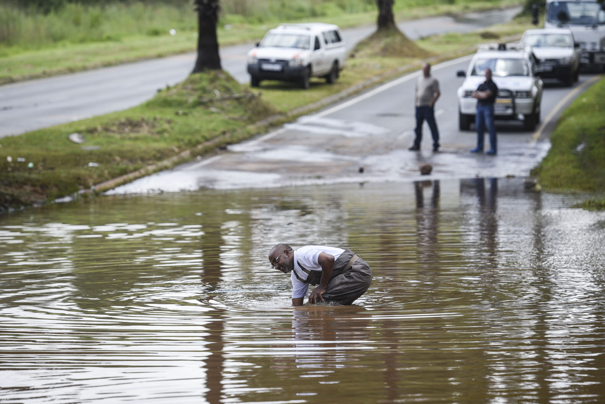 WATCH: Volunteers save fish that washed out of flooded Florida Lake ...