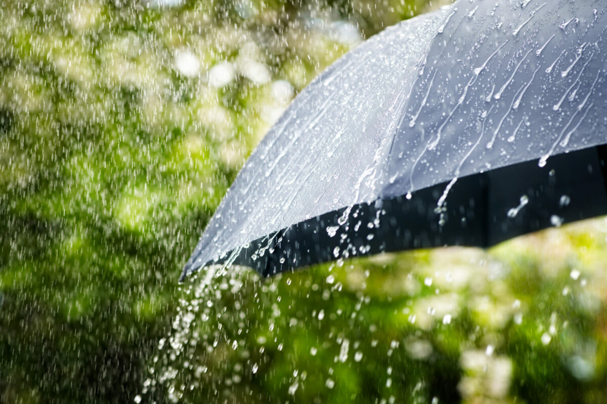 Rainfall chances in Gauteng to increase to 80% on Thursday