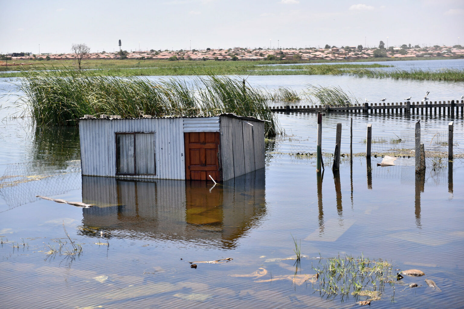 Swaneville crisis needs a resolution | The Citizen