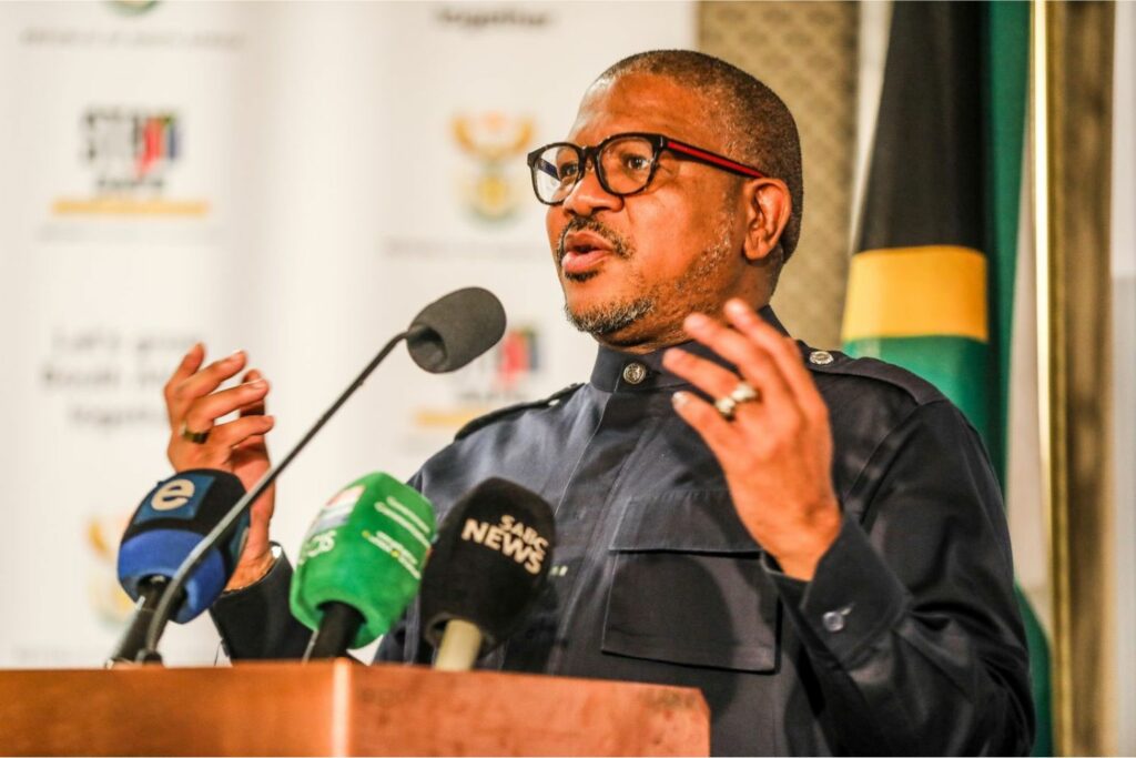 Mbalula says minister of electricity appointment 'just an intervention'