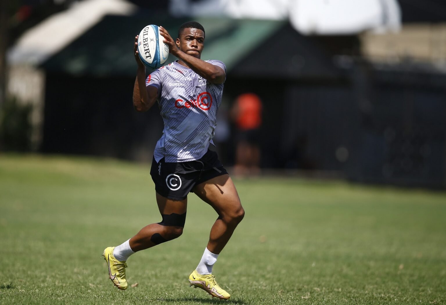 Powell wants Sharks to control tempo in URC clash against Lions | The ...