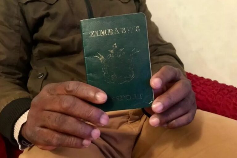 ZEP: Zim government will only assist valid permit holders