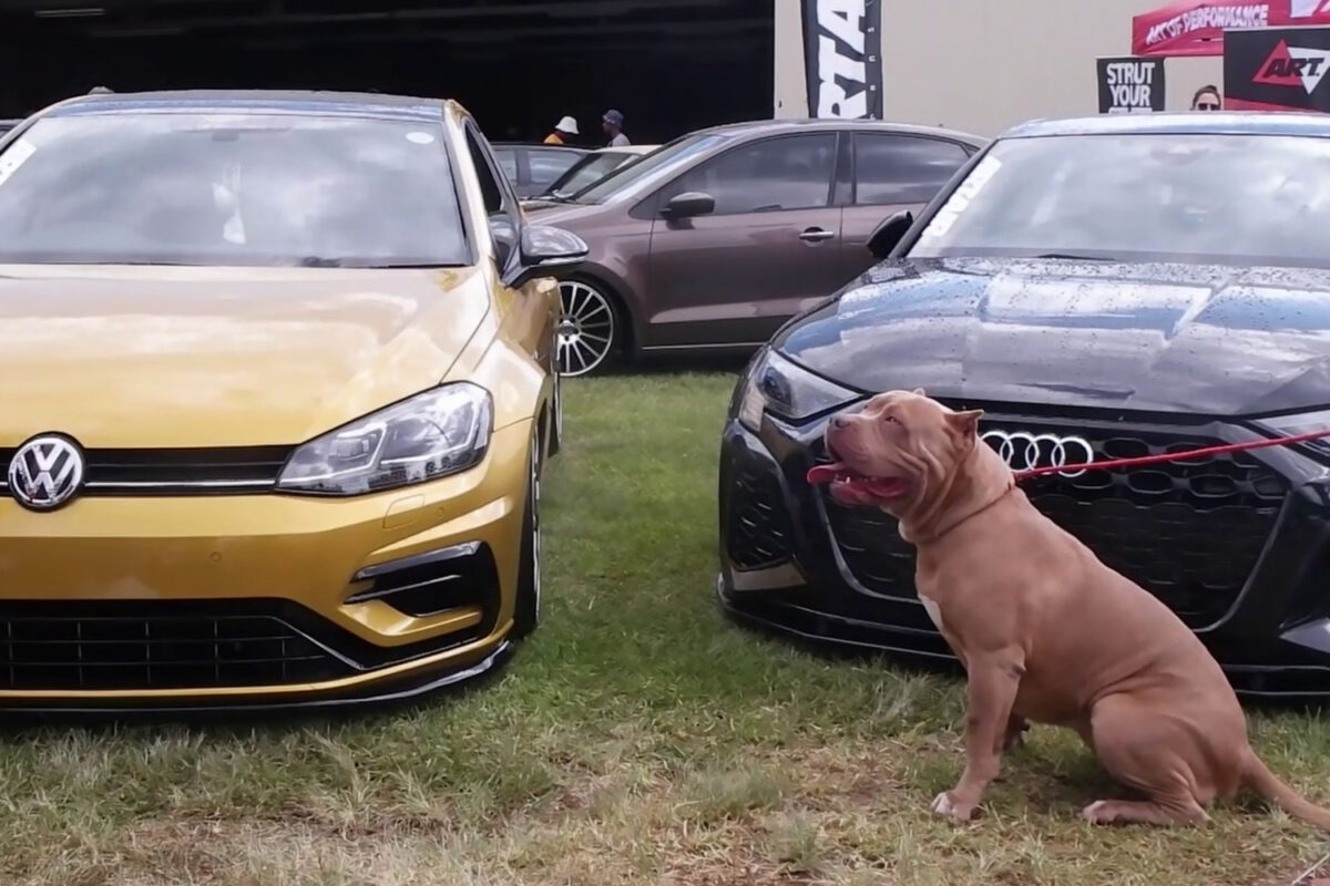 WATCH: Boyz show off their Toyz