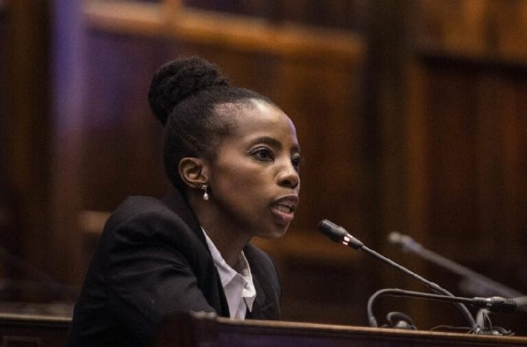 Phala Phala: EFF rejects 'nonsensical' Public Protector report clearing ...
