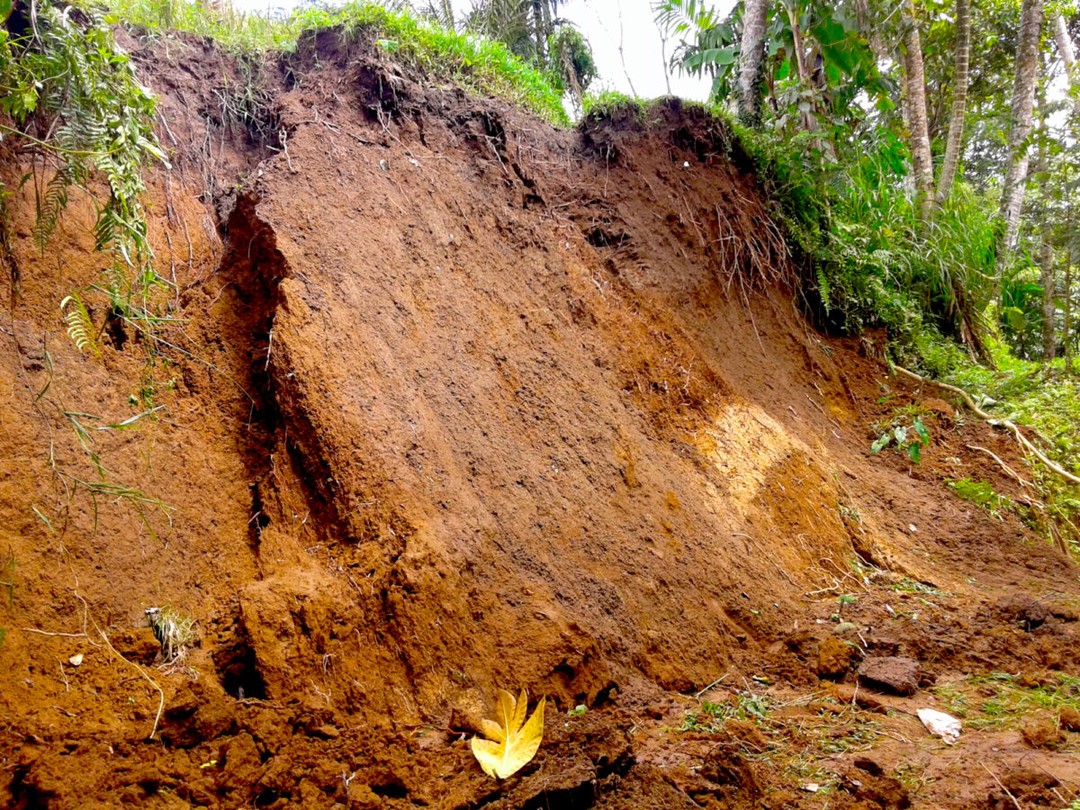 At least 16 dead in Ecuador landslide | The Citizen