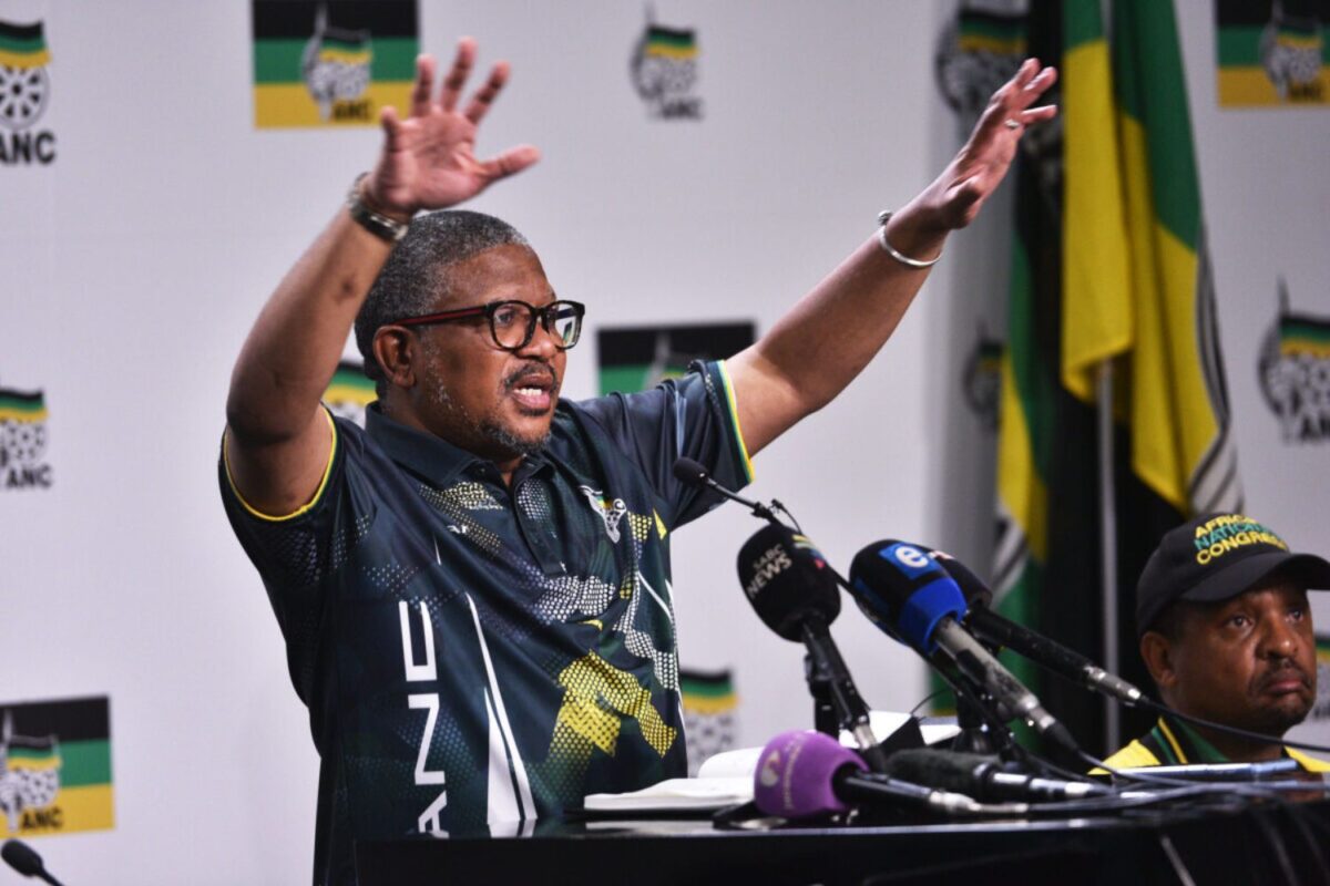 National Shutdown: 'SA not a banana republic' - Mbalula