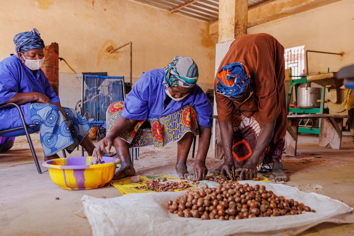 Sale of shea butter brings hope to women in Mali | The Citizen