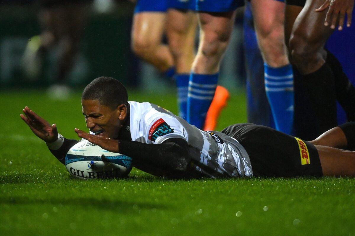 URC result: Libbok stars as Stormers draw with Leinster