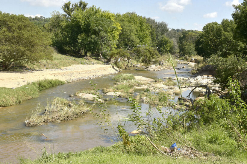 Government lacking urgency to deal with sewage spills in rivers