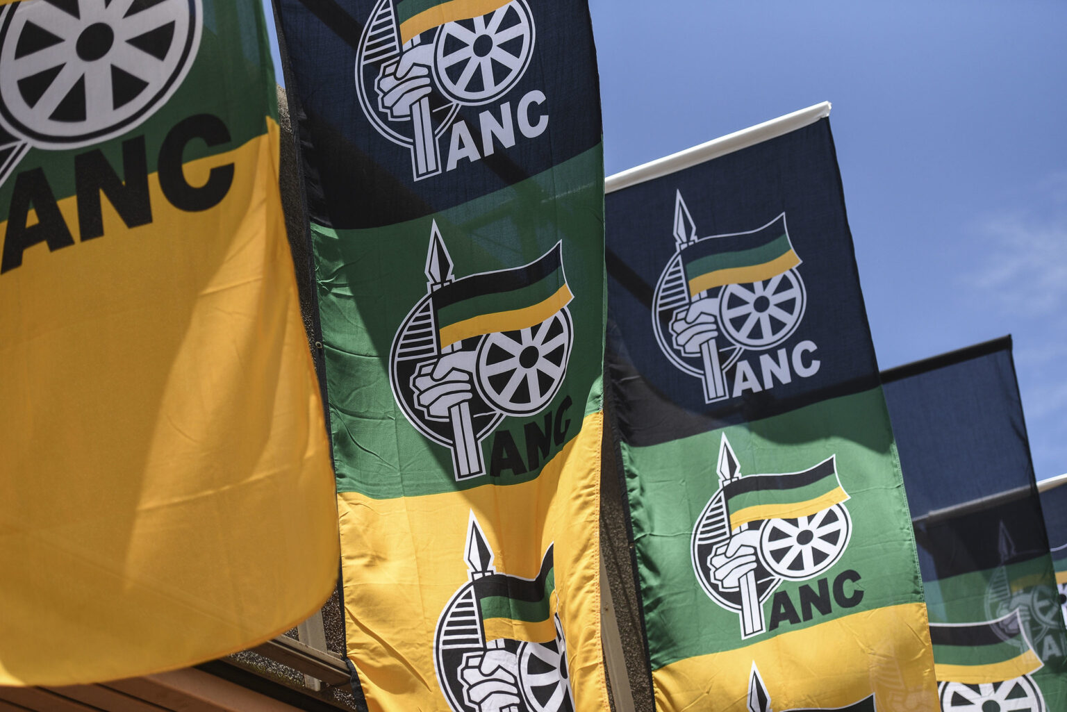 Election: ANC Veterans' League prioritises victory over DA coalition