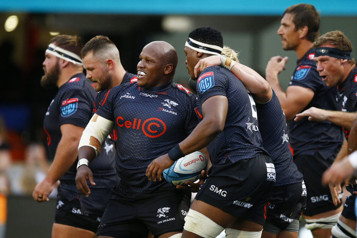 URC preview: Time for Sharks to show their teeth | The Citizen