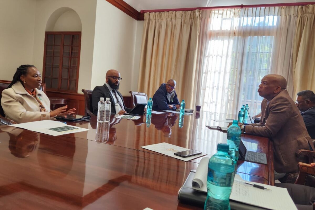 City Power meets with electricity minister Kgosientsho Ramokgopa