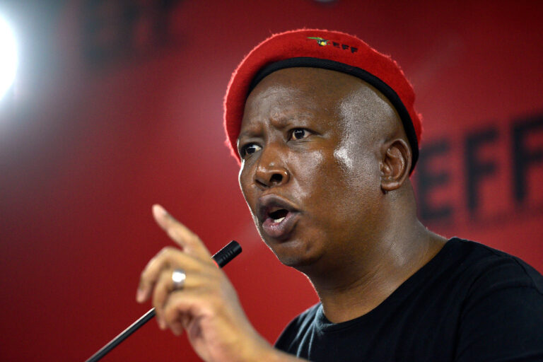 'Bring it on, we aren't the ANC'- Malema challenges DA over 'Kill the ...