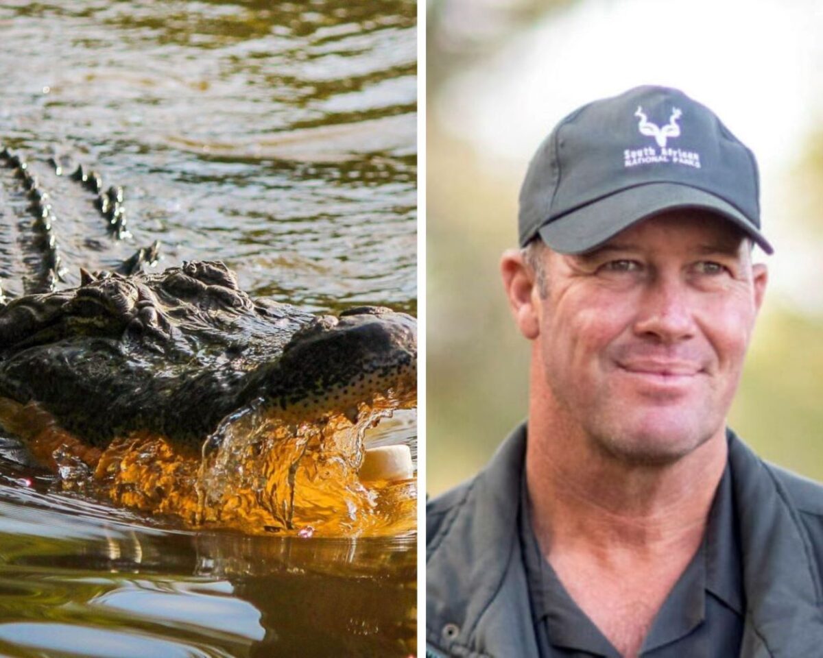 SA's own Crocodile Dundee: Gutsy guide recounts underwater fight with ...