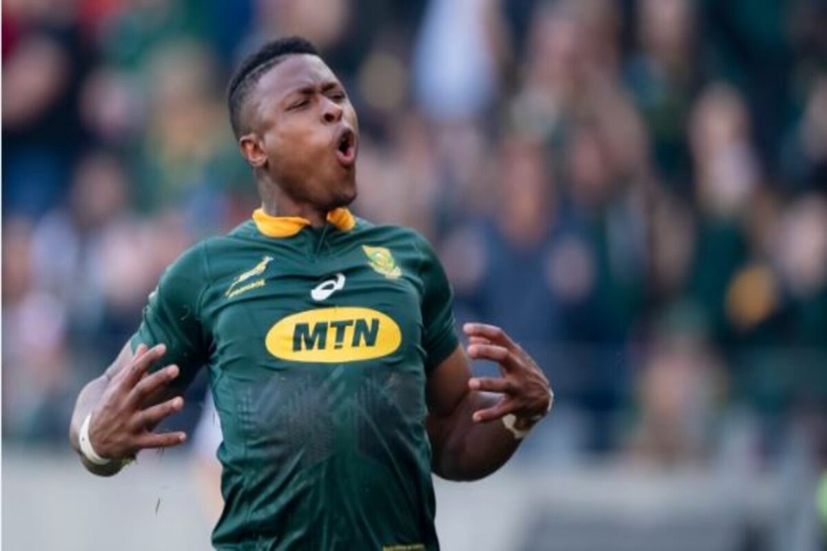 Ahiwe Dyantyi back in rugby as Sharks confirm signing