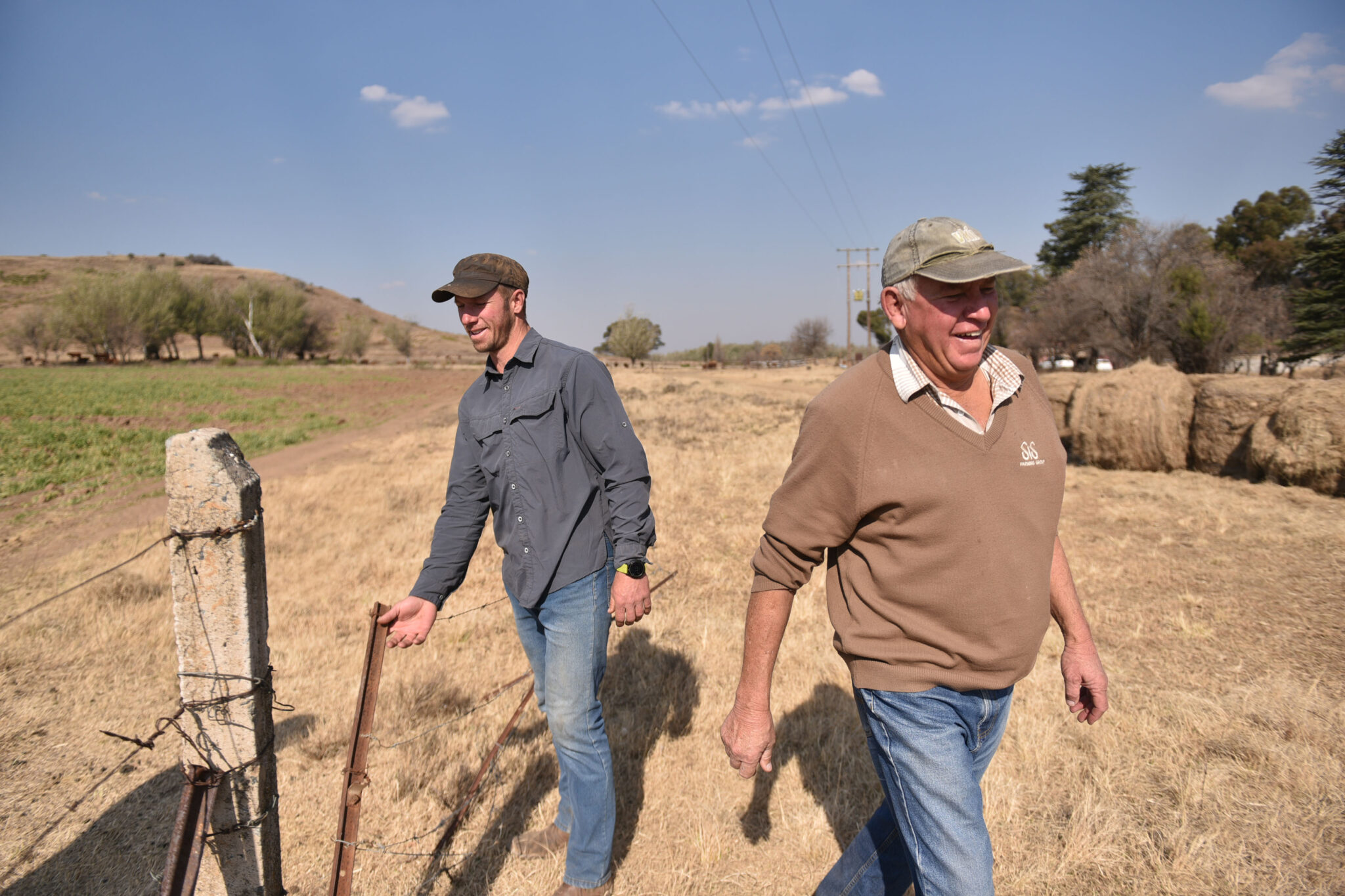 'Just not worth it anymore': Stock theft forcing Free State farmers to ...
