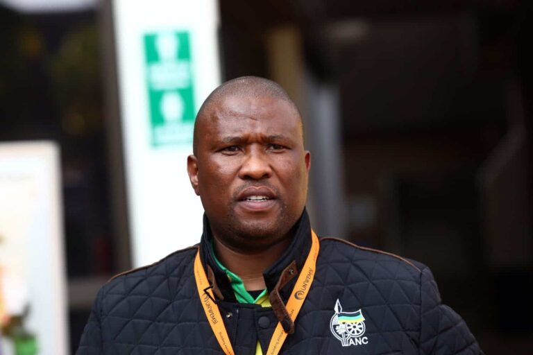 Mabuyane's court challenge 'exposes ANC's shortcomings' | The Citizen