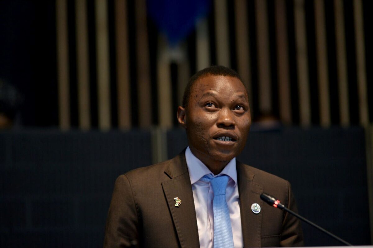 Joburg mayor's academic qualifications revealed - Gwamanda doesn't have ...