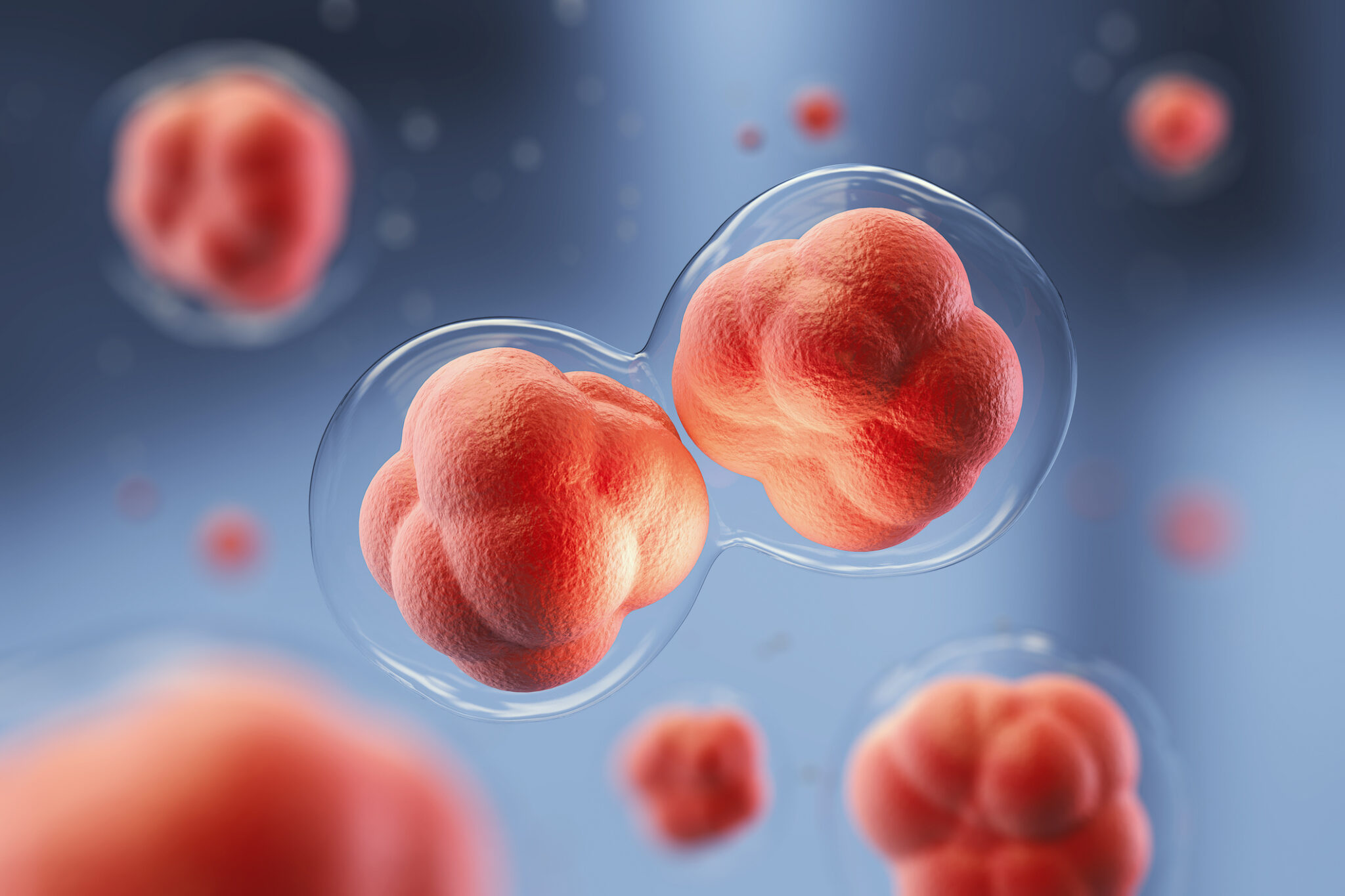 Lab-grown human embryo: New era of research, ethical concerns