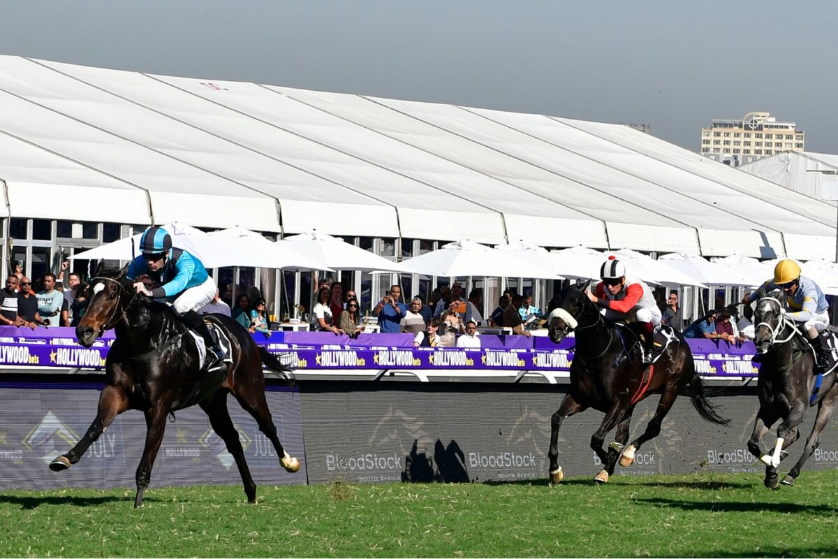 Durban July: Horses outshine politicos | The Citizen