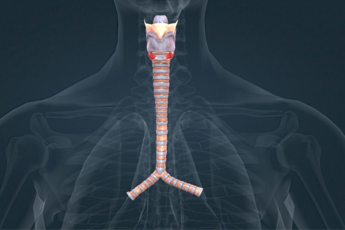 Five things you need to know about Laryngitis