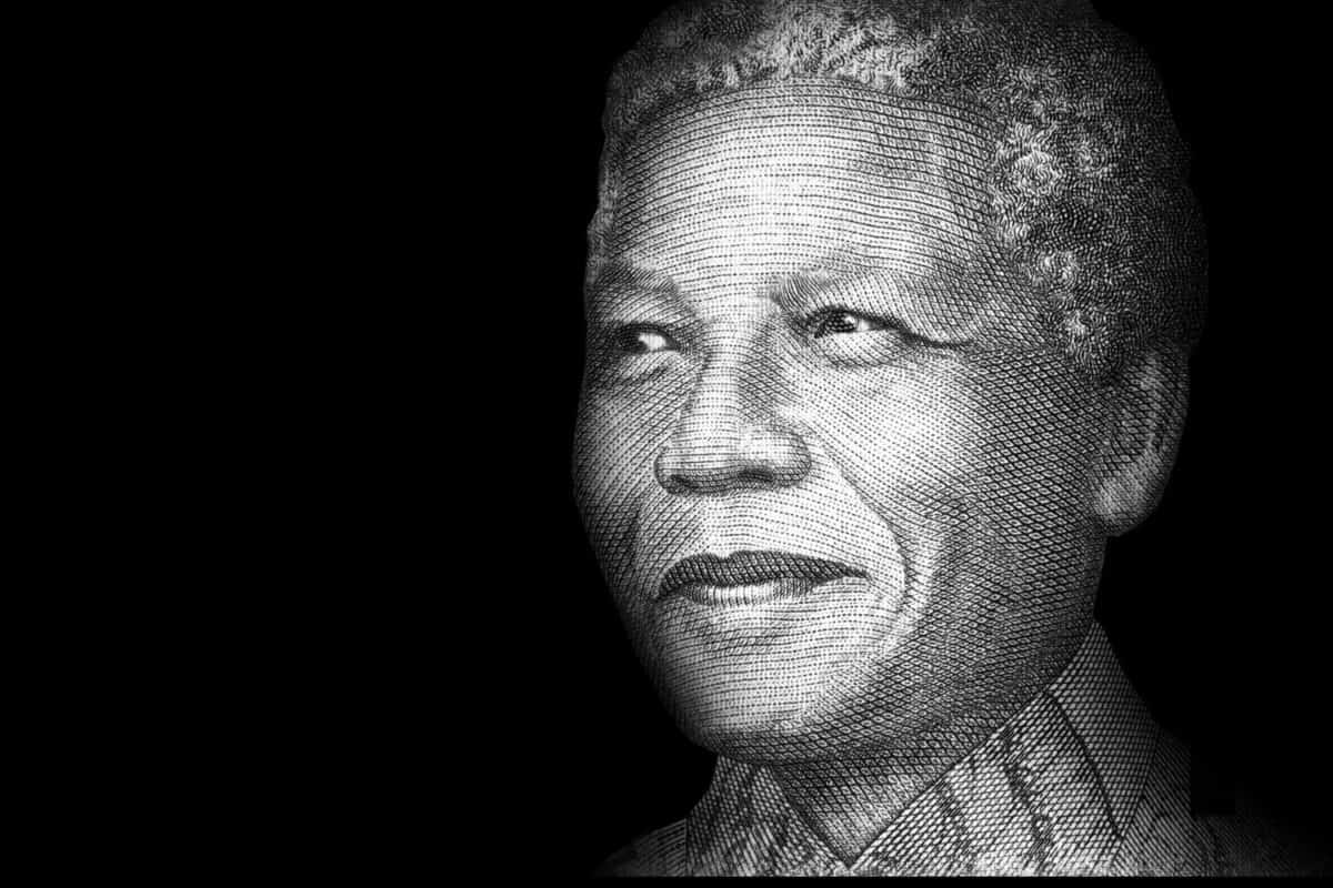 Stumped on what to do for Mandela Day? South Africans urged to plant a ...