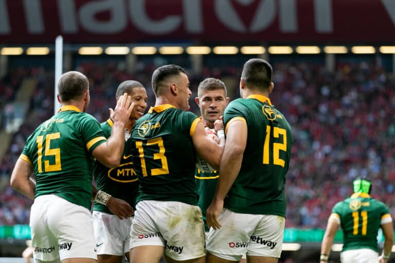 Springbok player ratings against Wales in Cardiff