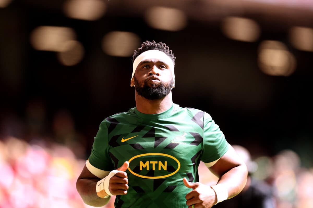 Springboks fans warned against buying fake rugby shirts - Here's where ...