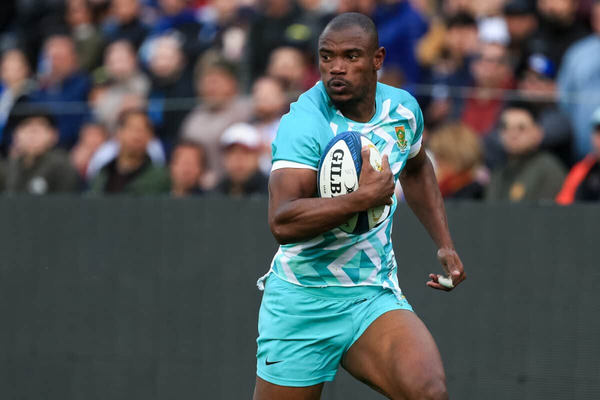 Tough choices as Springboks prepare to name World Cup squad