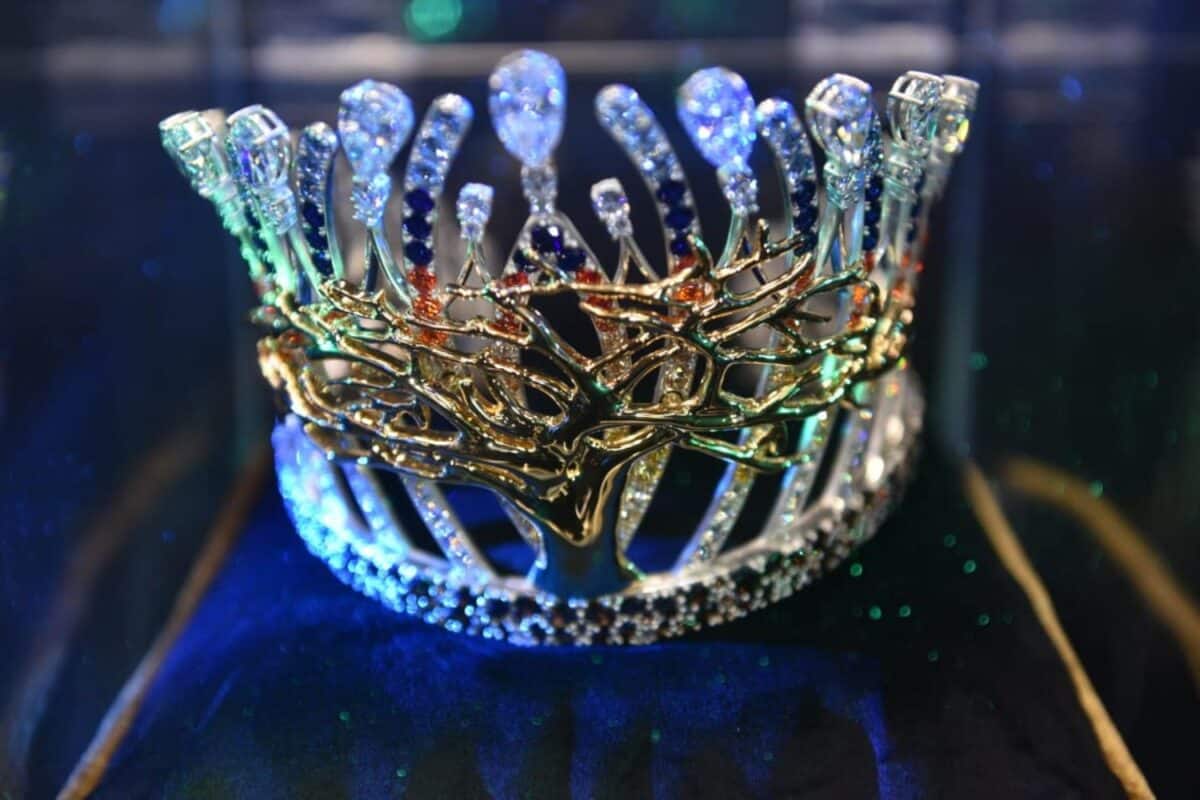 Everything you need to know about the new Miss SA crown