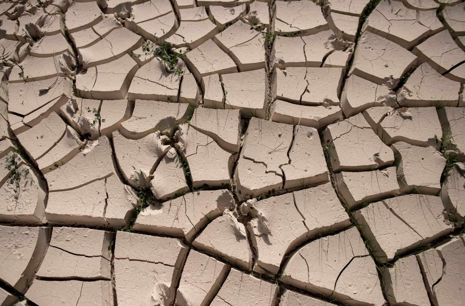 Spain worries over 'lifeless land' amid creeping desertification | The ...