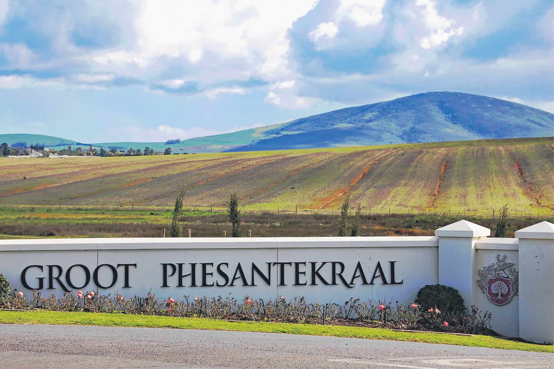 Take your taste buds on holiday