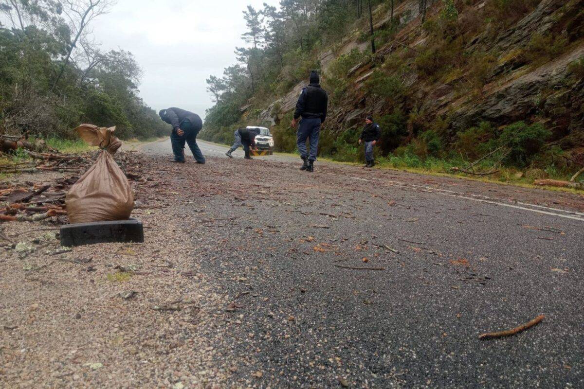Winde to provide update on flood ravaged Western Cape