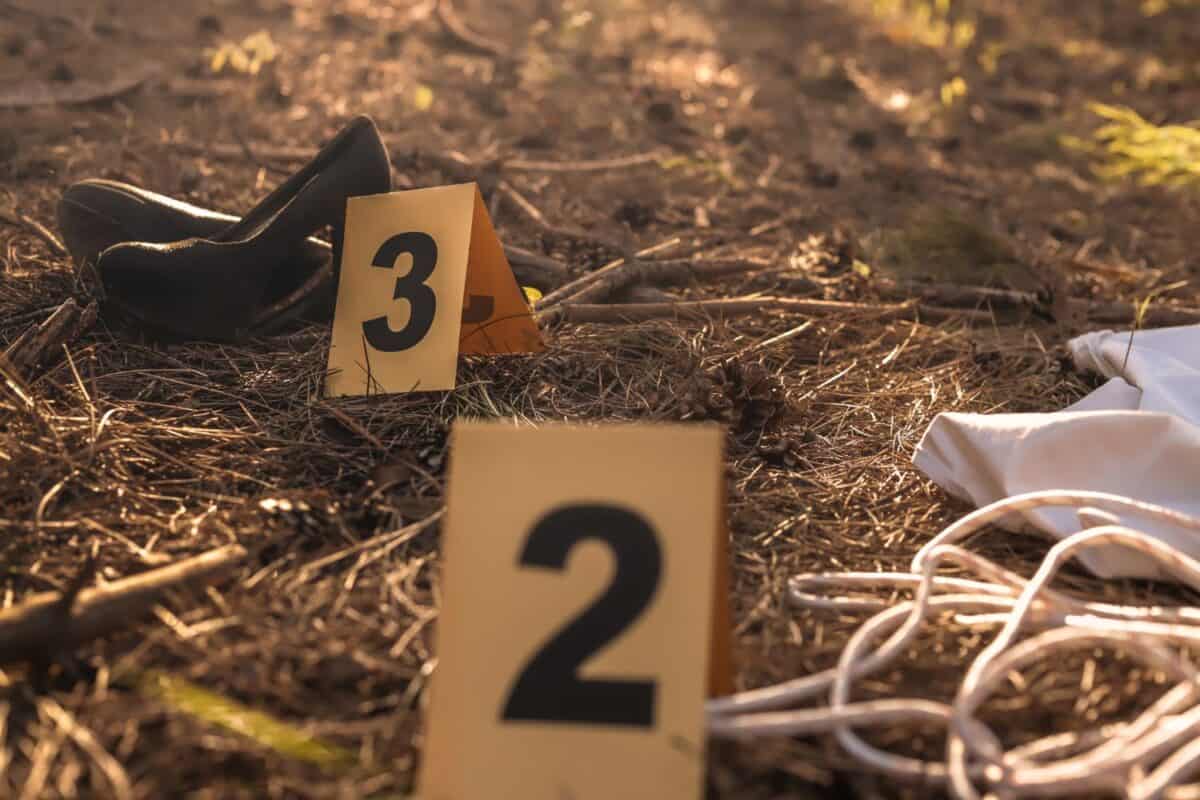 Teenage girls found dead in open field | The Citizen