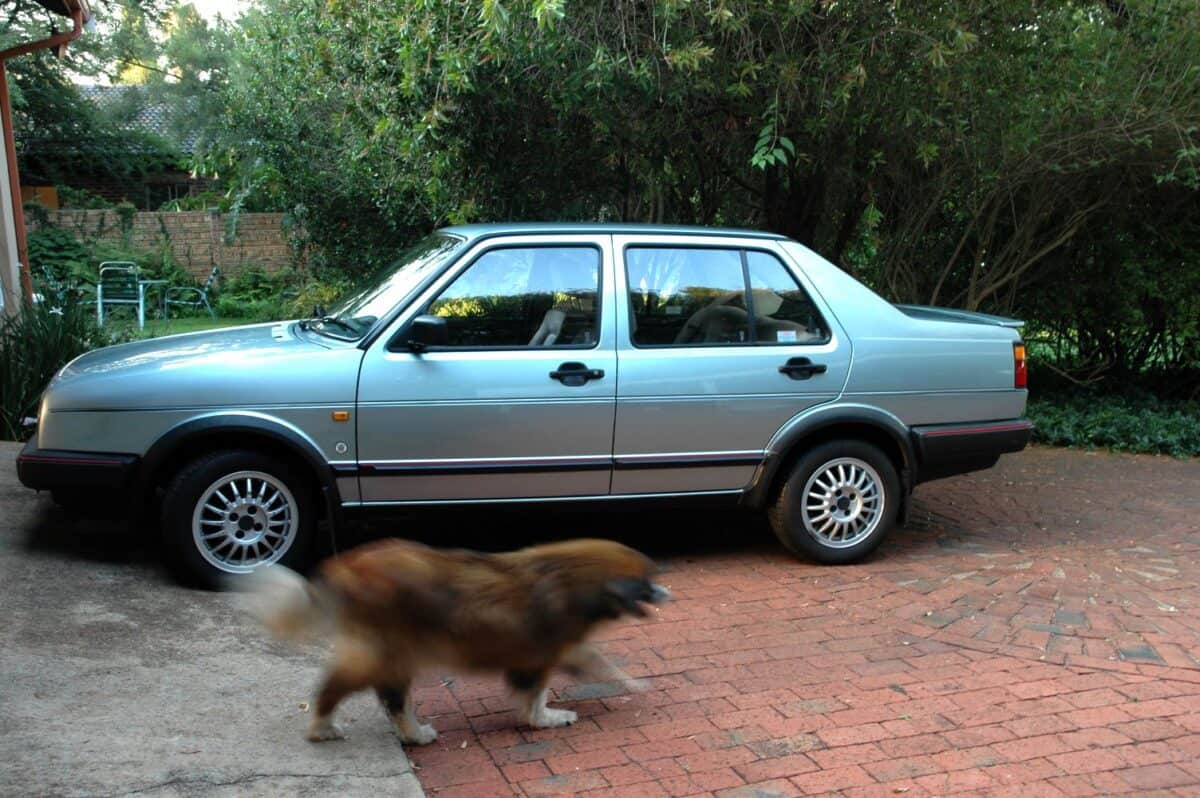 Polo Sedan excels in filling the void left by VW Jetta | The Citizen