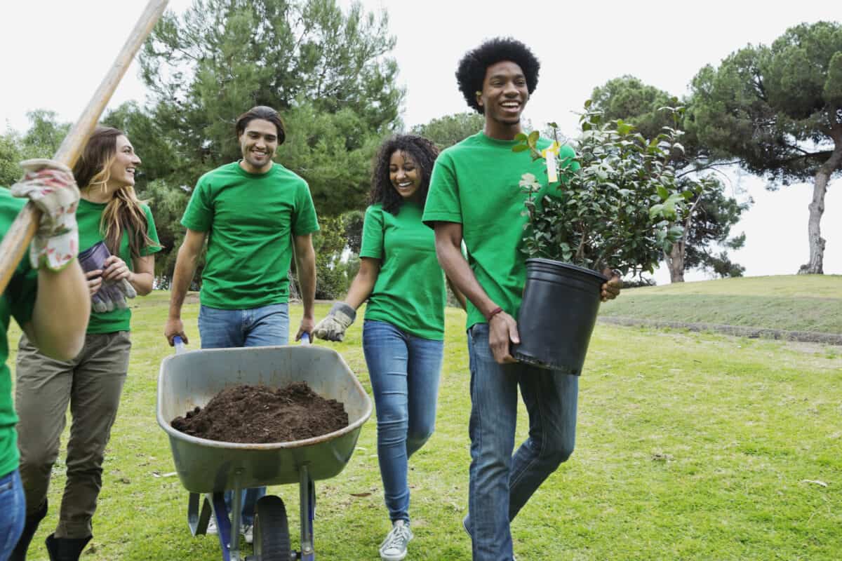 How volunteering can help you to do better at work | The Citizen
