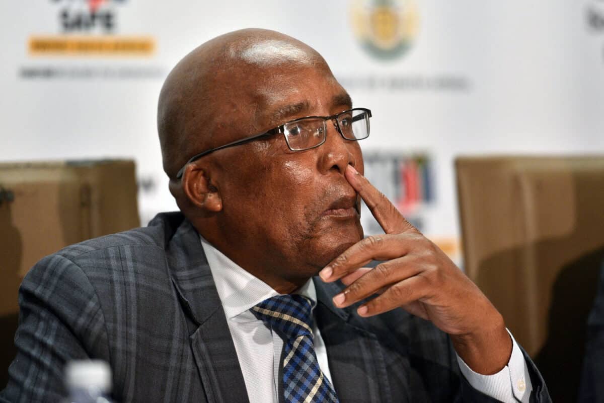 Motsoaledi turns to Supreme Court in Zim permits matter
