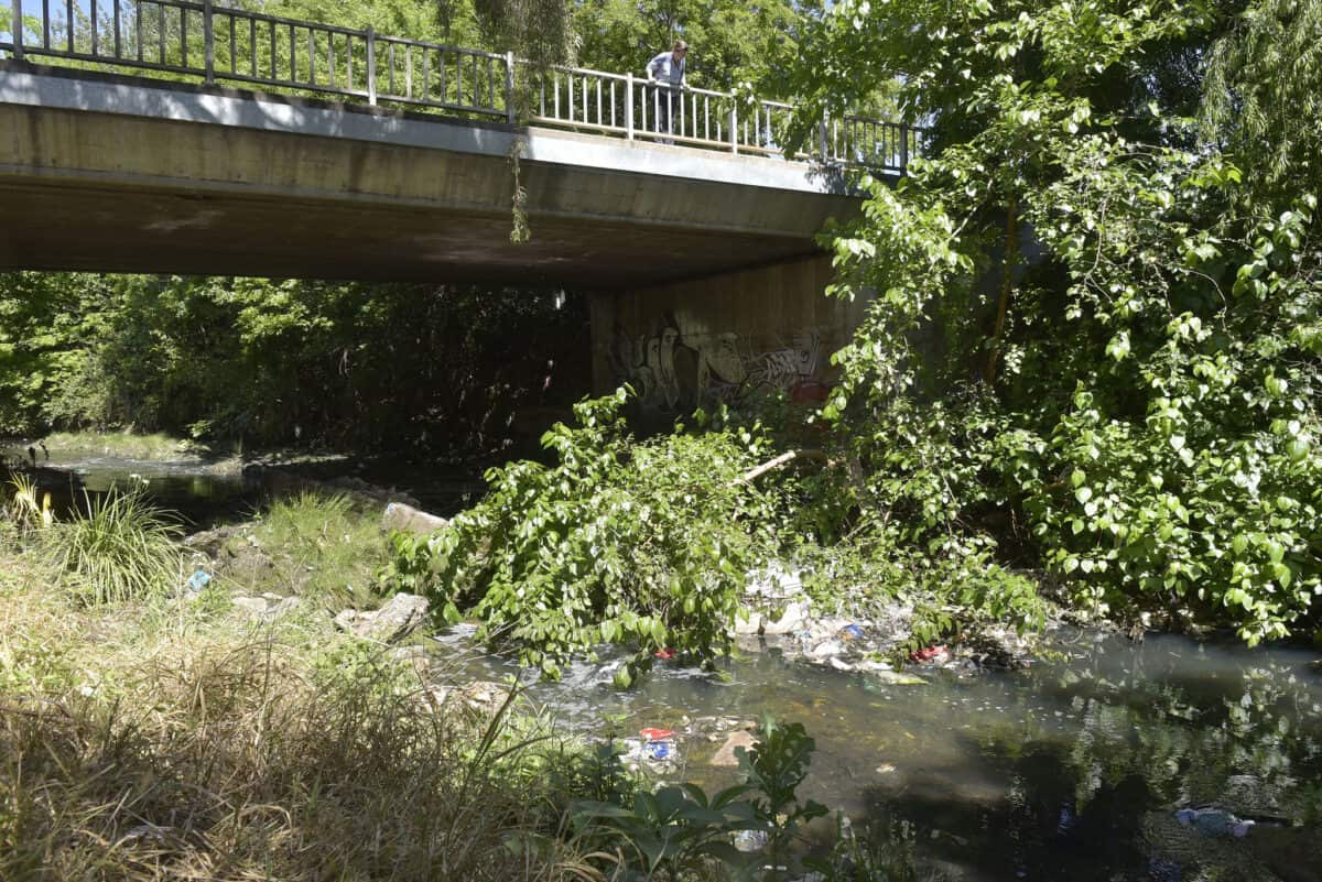 Scum, poop float in Jukskei River as residents' calls for clean-up go ...