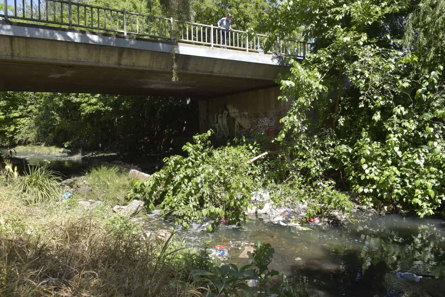 Scum, poop float in Jukskei River as residents' calls for clean-up go ...