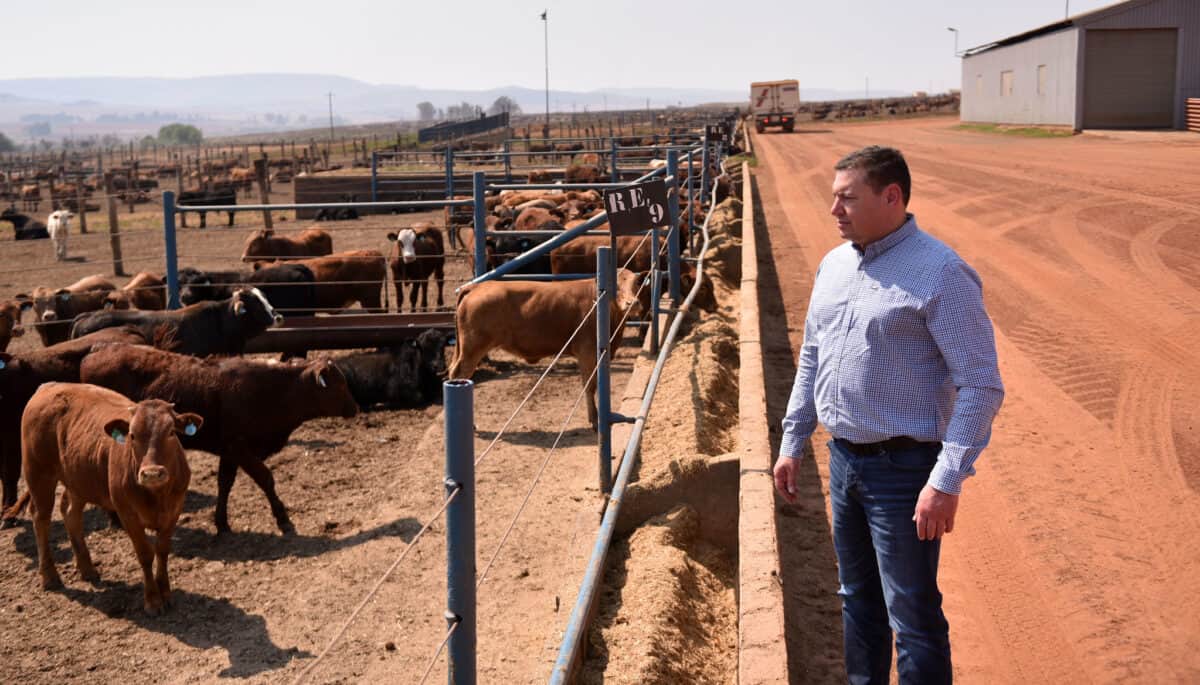 Karan Beef: The success story behind SA's leading beef producer | The ...