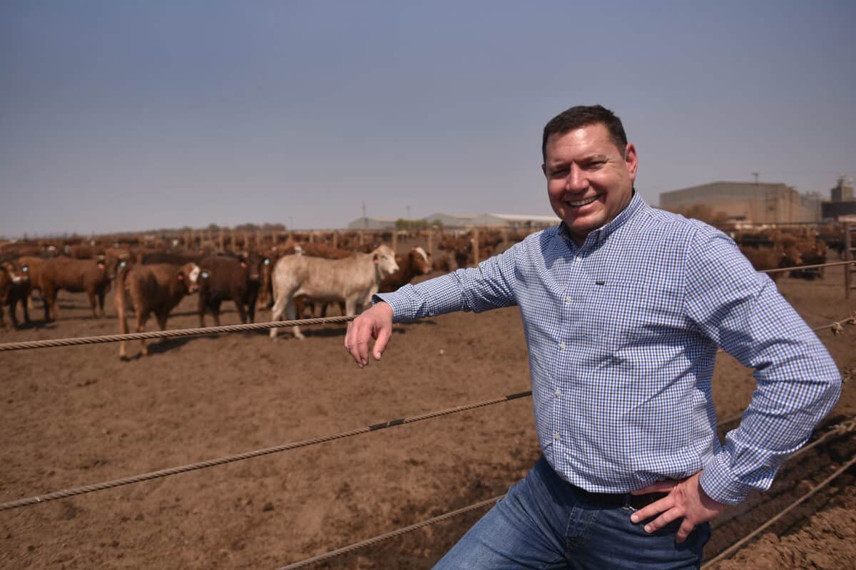 Karan Beef: The success story behind SA's leading beef producer | The ...