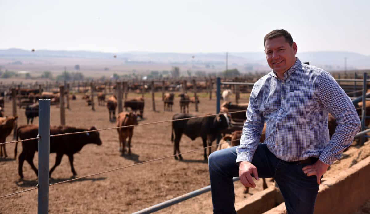 Karan Beef: The success story behind SA's leading beef producer | The ...
