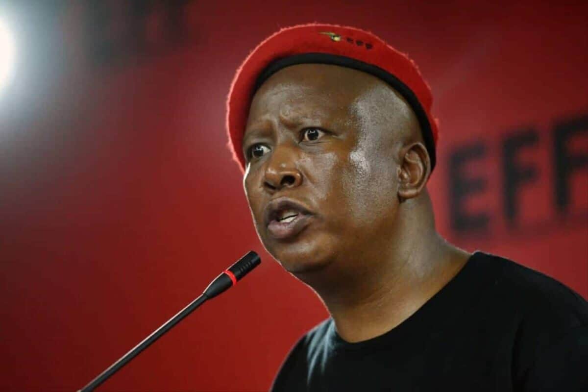 Malema has right to express himself, but 'should provide proof for his ...