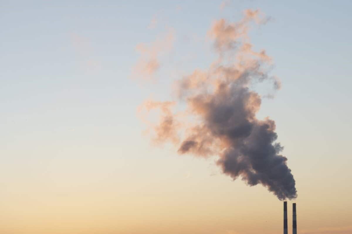 South Africa risks 15 000 deaths by 2050 if green transition delayed ...