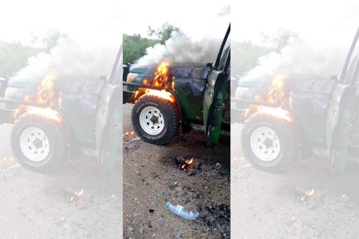 SA tourist among victims in terrorist attack at Ugandan national park ...