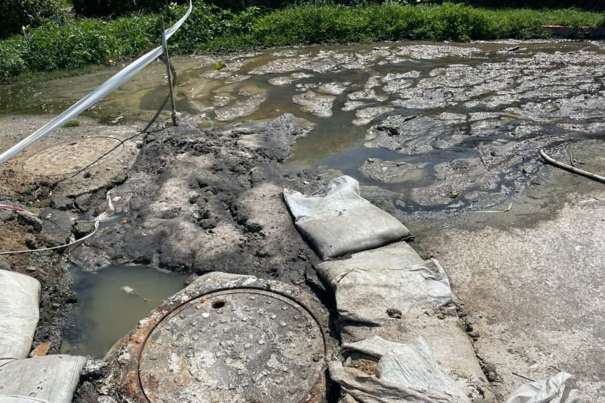 Sanitation crisis persists in eThekwini despite restoration efforts ...