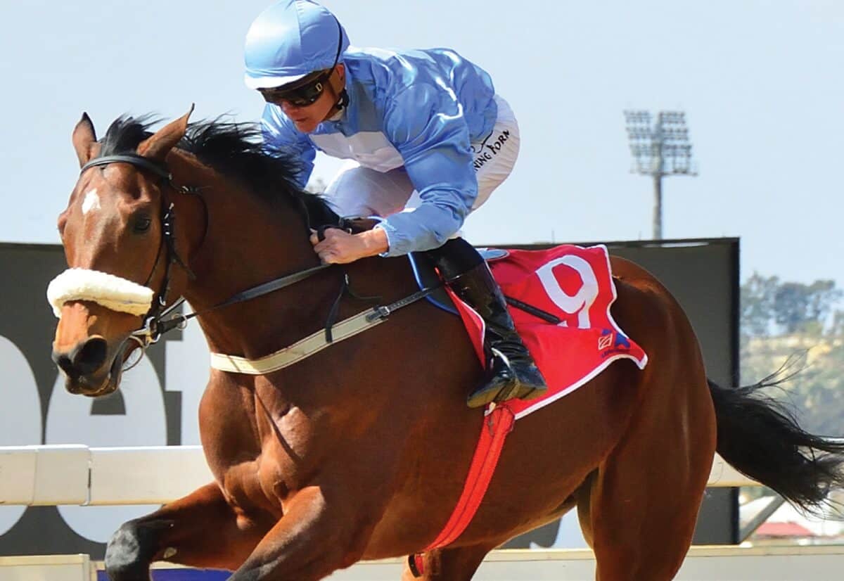 Racing tips: Battleground is drawn at Turffontein | The Citizen
