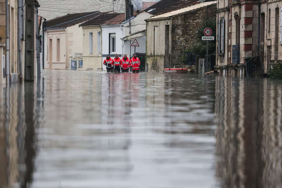 48 hours in pictures, 17 December 2023 | The Citizen